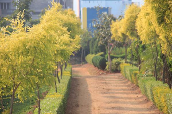 ESS and ESS Sree Sapthamathruka Layout in Nadanahalli, Mysore by ESS ...