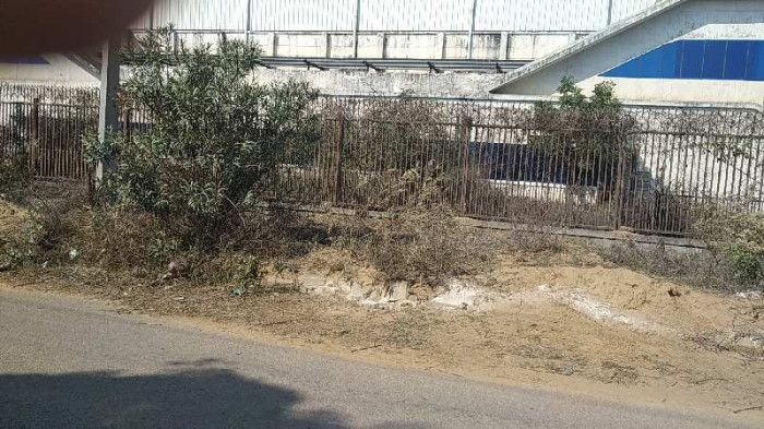 Pace City 2 in Sector 37 Gurgaon - RealEstateIndia.Com