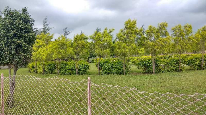 Dream City in Ganj Basoda, Vidisha - RealEstateIndia.Com