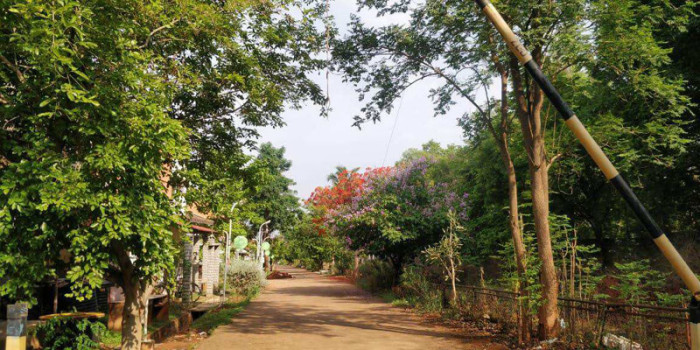 Citrus Earth Villas in Rajankunte, Bangalore by Citrus Ventures ...