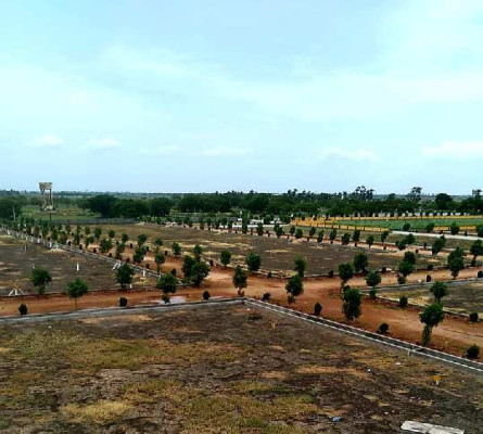 Fortune Sunshine City in Kankipadu, Vijayawada - RealEstateIndia.Com