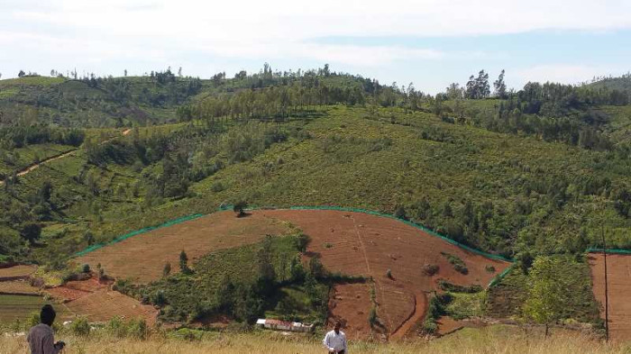 Siri Valley in Lovedale Junction, Ooty - RealEstateIndia.Com