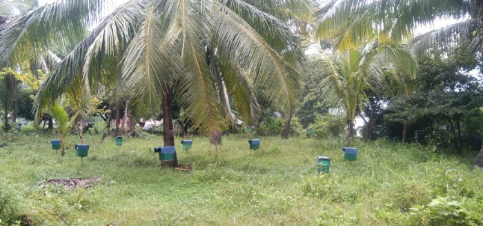 Aj Farms in Thovalai, Kanyakumari - RealEstateIndia.Com