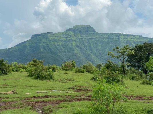 Paal Hills in Taluka Velhe, Pune by No Project Builder ...