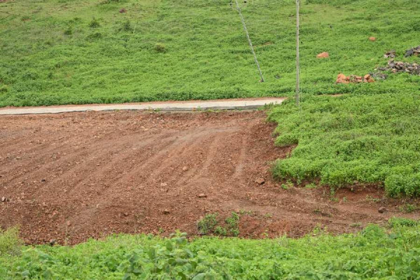 The Nath Hills in Talaja, Bhavnagar - RealEstateIndia.Com