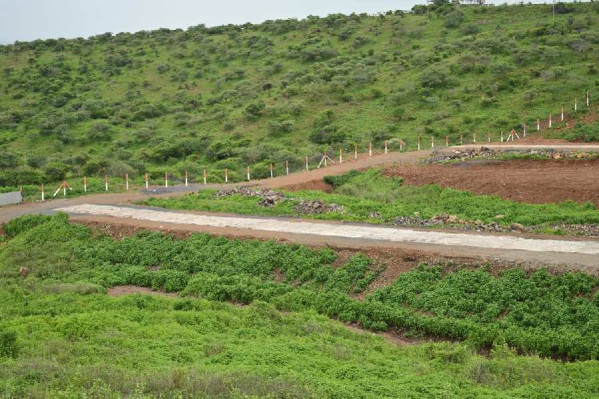 The Nath Hills in Talaja, Bhavnagar - RealEstateIndia.Com