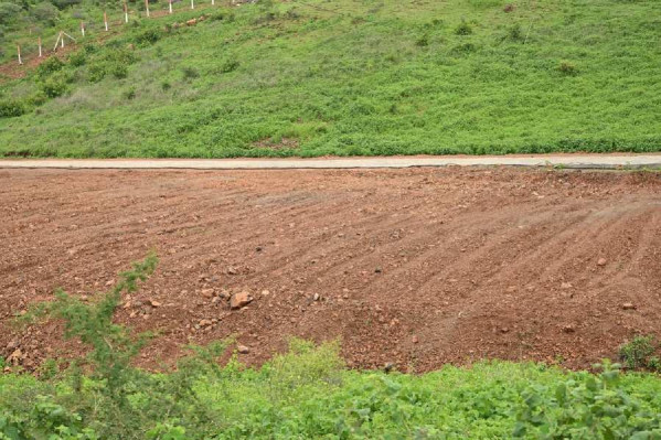 The Nath Hills in Talaja, Bhavnagar - RealEstateIndia.Com