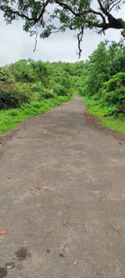 The Village Farm in Mangaon, Raigad by No Project Builder ...