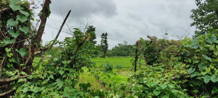 The Village Farm in Mangaon, Raigad by No Project Builder ...