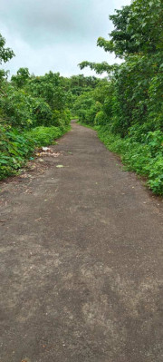 The Village Farm in Mangaon, Raigad by No Project Builder ...