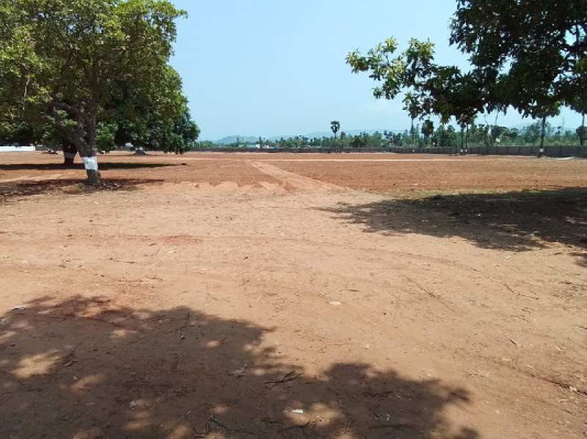 Sai Padmanabham Estate in Padmanabham, Visakhapatnam - RealEstateIndia.Com