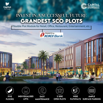 Capital Central Market in Sector 79 Faridabad by Capital Developers Pvt ...