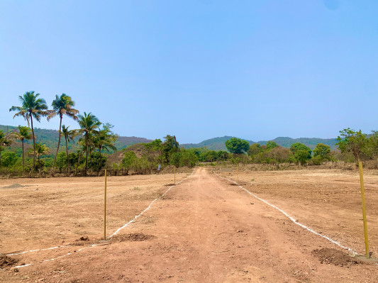 ALIBAUG PLOT in Borli, Raigad by Raigad Plus Property - RealEstateIndia.Com