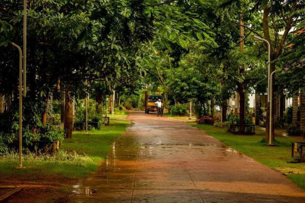 Zed Earth in Doddaballapur Road, Bangalore - RealEstateIndia.Com