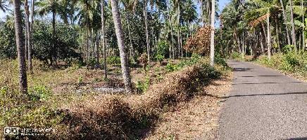 Farm Land for sale in Goa | Buy/Sell Agricultural Land in Goa