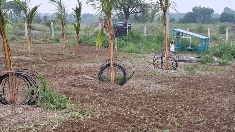 Agricultural Land 20000 Sq.ft. for Sale in Siruganur, Tiruchirappalli ...