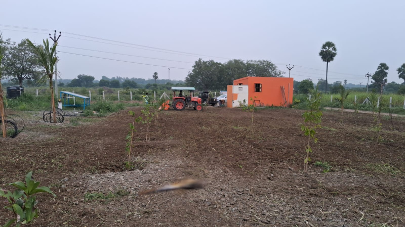 Agricultural Land 20000 Sq.ft. for Sale in Siruganur, Tiruchirappalli ...