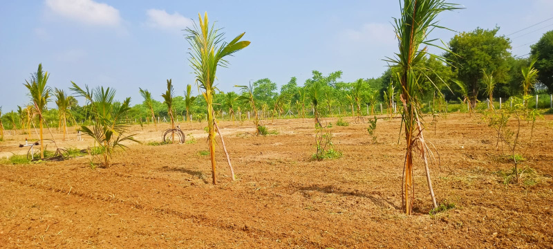 Agricultural Land 20000 Sq.ft. for Sale in Siruganur, Tiruchirappalli ...