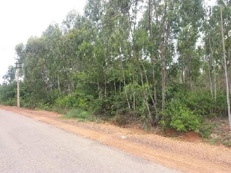 Bagalur, Bangalore | Overview, Property Rate, Projects, Map & Localities