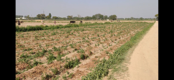 Farm Land for sale in Hathras | Buy/Sell Agricultural Land in Hathras
